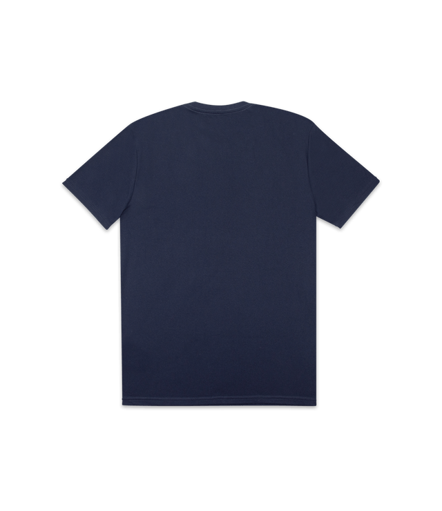 Camiseta de Hombre Aeropostale Level 2| Style 2982 - Aeropostale Ecuador